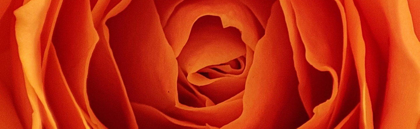 SAP BTP Learning Journey - Learn SAP BTP with These Resources | SAP PRESS